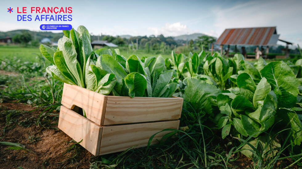 [SCIENCES & TECHNIQUES] Expliquer un concept: l’agroécologie