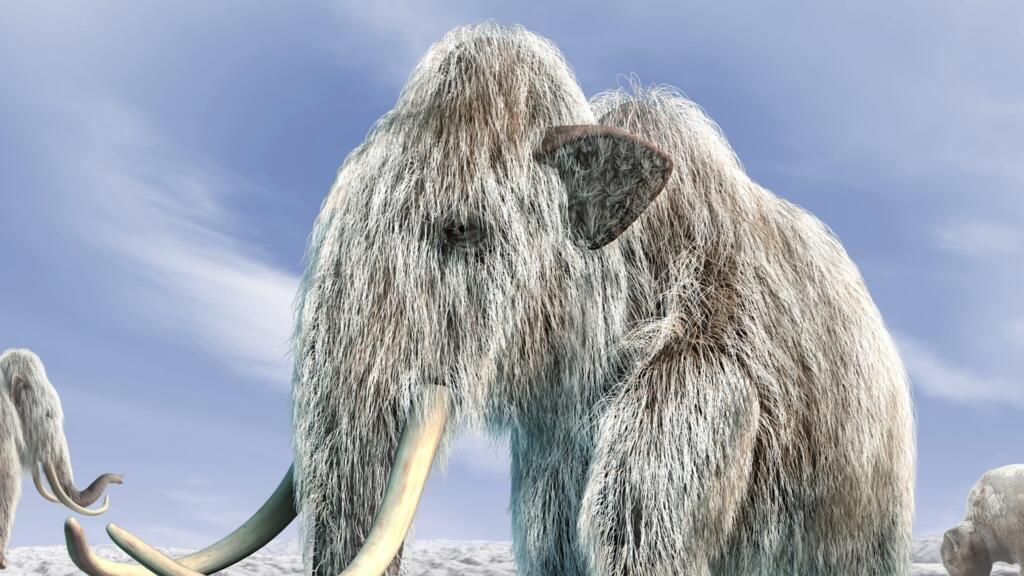 Faire revivre les mammouths? - Français Facile - RFI