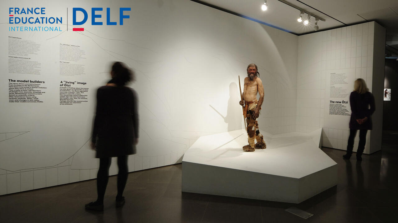 DELF B2 - Entrainement à l'épreuve de compréhension orale - Session 4 ...