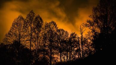 Un bruit dans la nuit