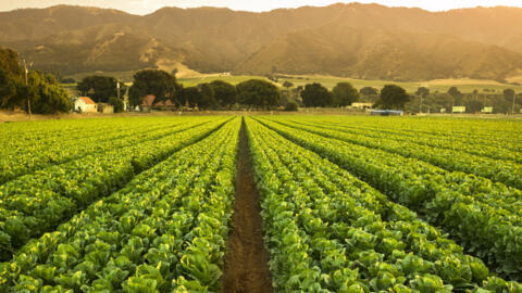 Riche et enrichi - Les mots de l'actualité