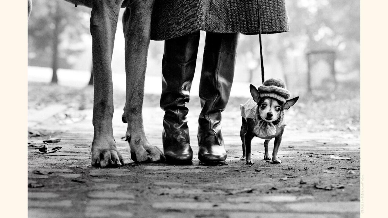 Elliott Erwitt, un géant de la photographie - Français Facile - RFI