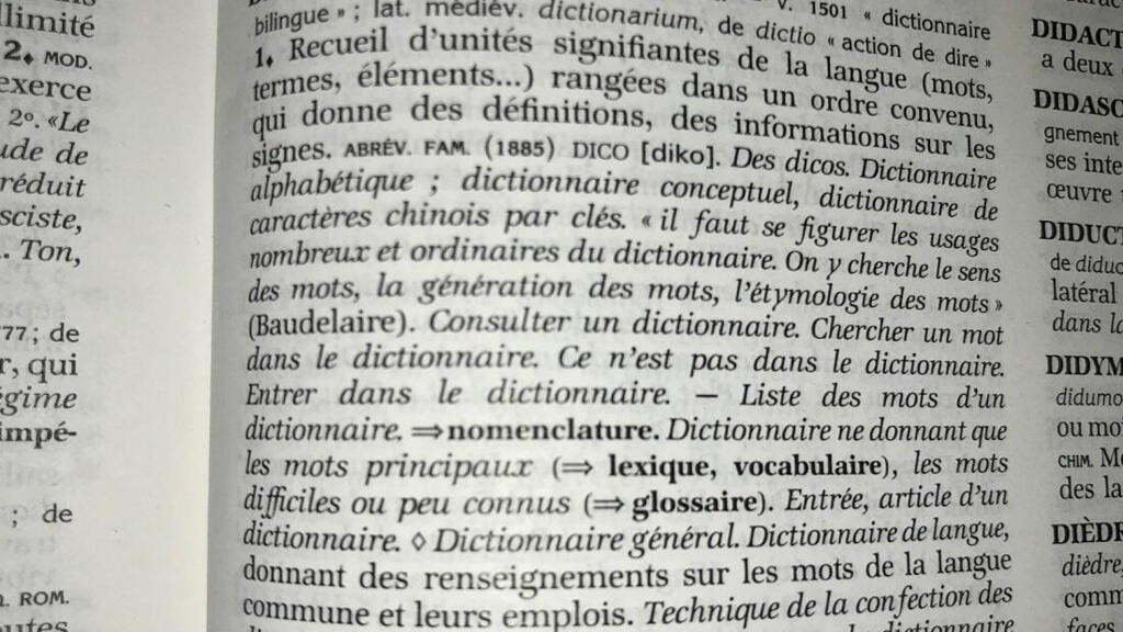 Les nouveaux mots du dictionnaire pour 2024