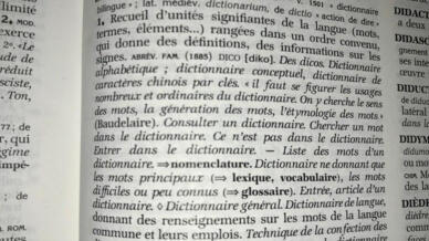 Quels sont les nouveaux mots du dictionnaire 2026?