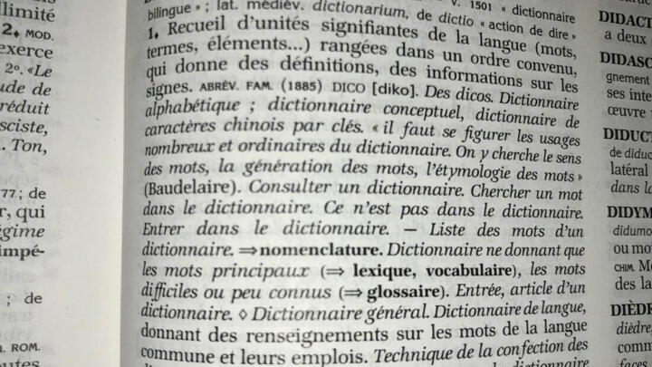 Les nouveaux mots du dictionnaire pour 2024
