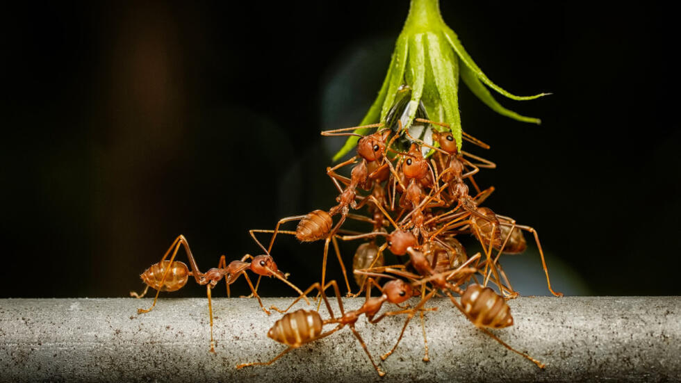 Environnement: une bonne et une mauvaise nouvelle
